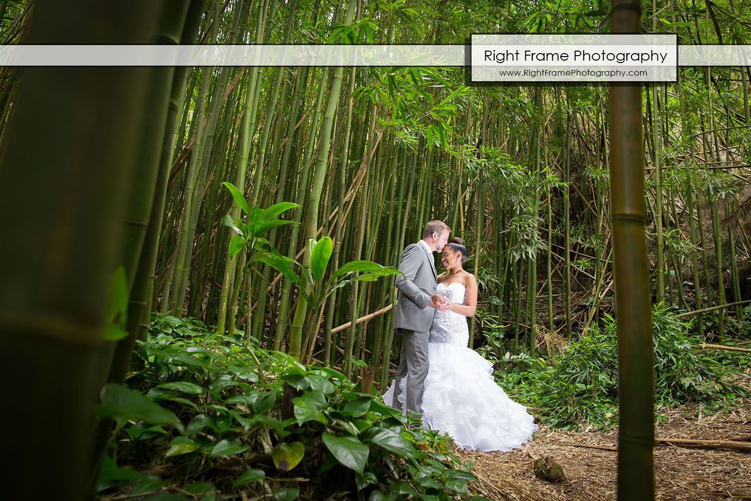 Hawaii Bamboo Forest Wedding Pictures
