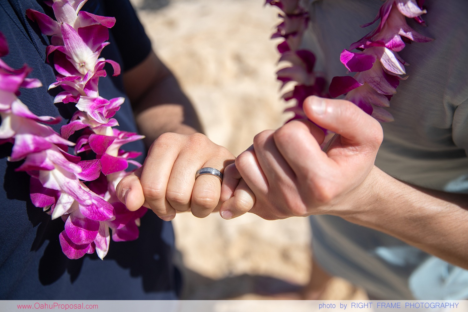 Proposal In Hawaii Same Sex Oahu Engagement Photographer