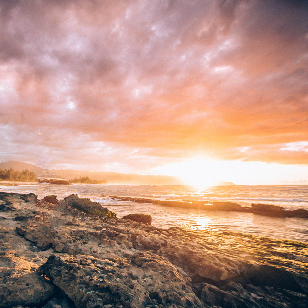 Oahu Proposal Photographer & Family Beach Portraits in Hawaii